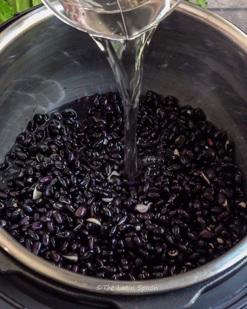 Costa Rican Homemade Black Beans - thelatinspoon.com