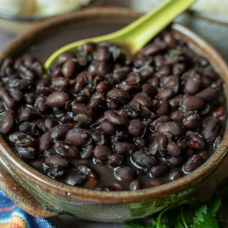 Costa Rican Black Bean Recipe - thelatinspoon.com